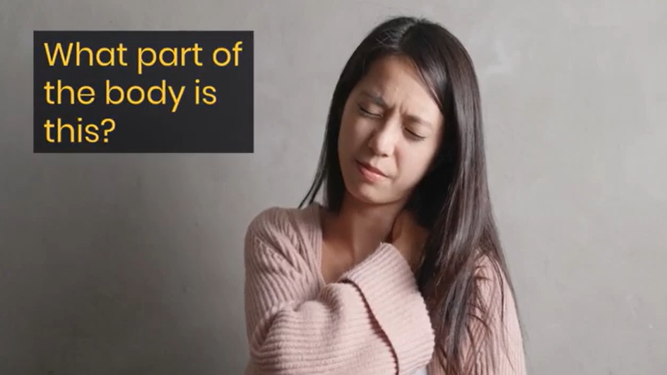 Parts of the body – ESL Directions