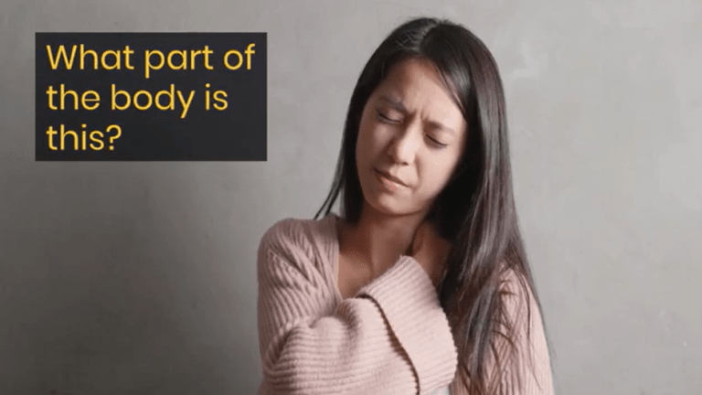 Parts of the body – ESL Directions
